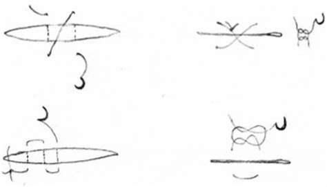 Sturgeon Aquaculture Specialised Techniques For Determining The Sex