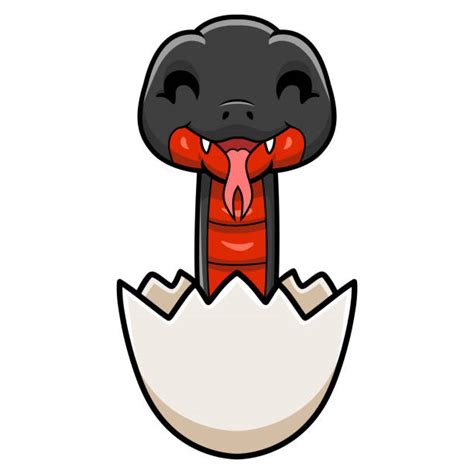 80 Python Egg Stock Illustrations Royalty Free Vector Graphics And Clip