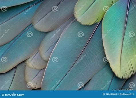 Intricate Feather Close Up Texture Overlapping Soft Patterns In Gradient Blue And Green Tones