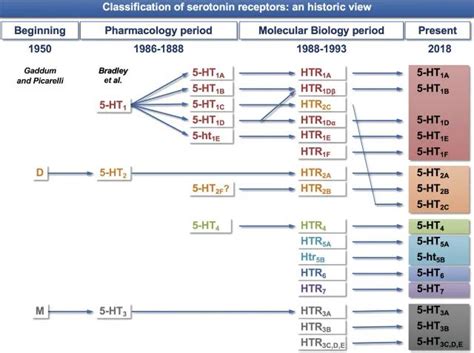 Turicibacter Sanguinis