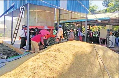 ရပ်စောက်မြို့နယ် ရောင်ခြည်ဦးစိုက်ပျိုးထုတ်လုပ်ရေးနှင့် အထွေထွေလုပ်ငန်း