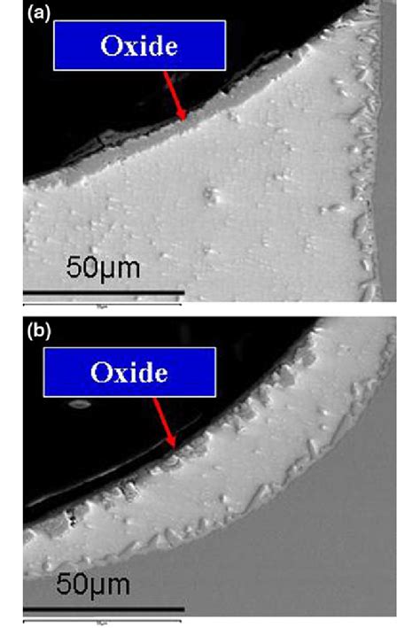 Cross Sections Of Solder Joints Exposed To Download Scientific Diagram