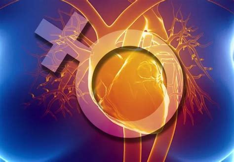 Tackling Sex Disparities In Cardiac Care