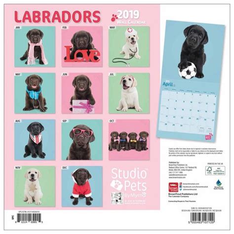Lovely Labs Studio Pets By Myrna Kalender 2019 Bol