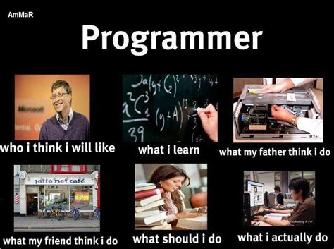 Programmers As They Are Science Homework Healthcare Humor