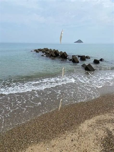 堤防のタコ釣り仕掛けと釣り方を解説｜初心者でも簡単で手軽に始めれます！