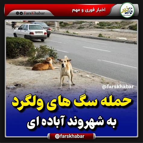 ♦️حمله سگ‌ های ولگرد به شهروند آباده ای 🔹شهروند ۳۷ ساله ای که با موتور