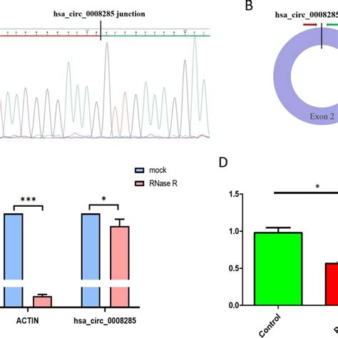 Quantitative Real Time Polymerase Chain Reaction Validation Of Selected Download Scientific