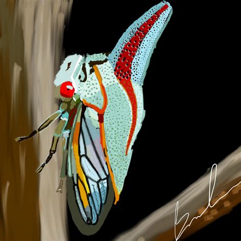 Fulgoroidea By Me Rentomology