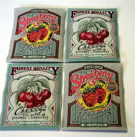 Strawberry Seed Packets At Maria Joiner Blog