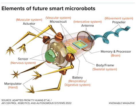 Making Microbots Smart Big Think