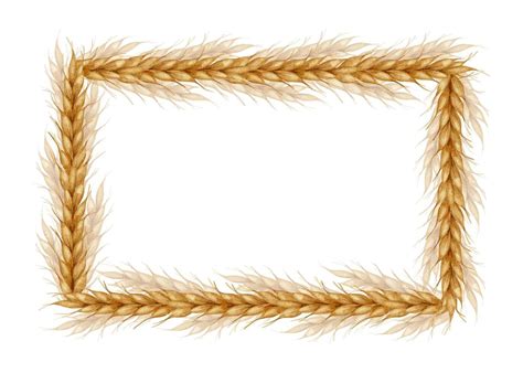 Wheat Border Frame Vector Art Icons And Graphics For Free Download