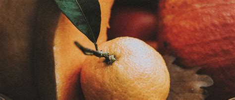 Creating Performance Culture