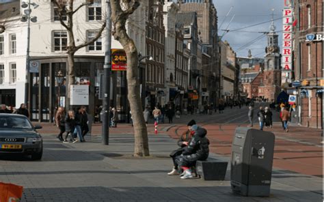 Highlight Local Public Service Resources In The Area