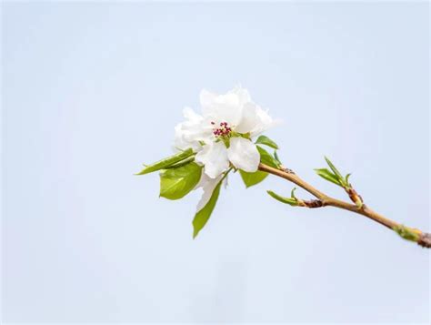 出门在外，不要乱碰这些“脏东西”，碰了，厄运就来了 知乎