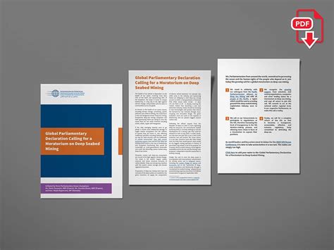 Global Parliamentary Declaration Calling For A Moratorium On Deep
