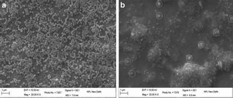 Sem Micrographs Of Tio2 Nanoparticles A Tio2 A B Tio2 E Download Scientific Diagram