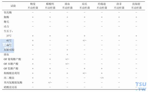 不动杆菌属内种间菌株怎样鉴别？ 微生物 天山医学院
