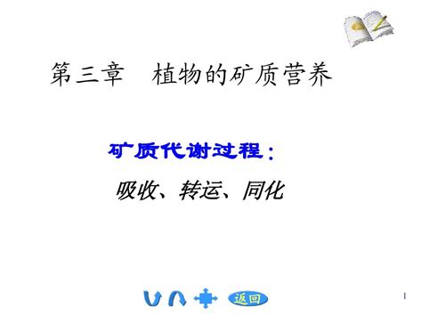 第二章 植物的矿质营养word文档在线阅读与下载无忧文档