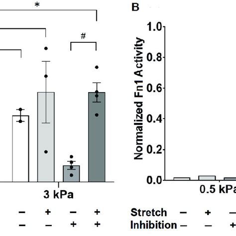 Experimental Observations Of Fibronectin Gene Expression In Response To