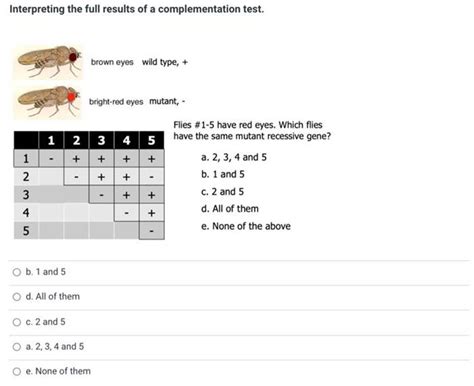 Solved Interpreting The Full Results Of A Complementation Test