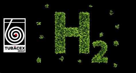 Green Hydrogen Research Project Led By Tubacex For Decarbonizing