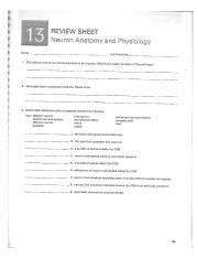 Exercises Lab Review Sheets EXFRCfSE REVIEW SHEET Neuron Anatomy And Physiology I