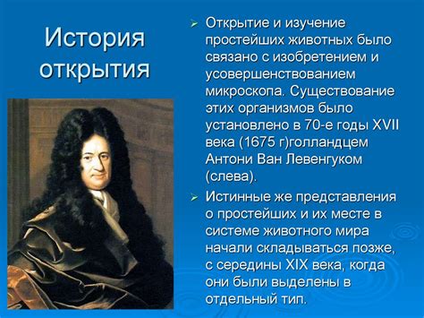 Простейшие - презентация онлайн