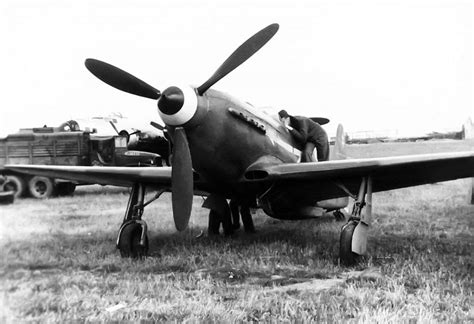 Yak 3 The Normandie Niemen Regiment Aircraft Of World War Ii