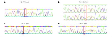 The Results Of Gene Sequence Of The Family In Exon And A Gene Download Scientific