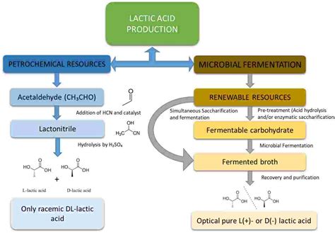 Lactic Acid Fermentation Formula