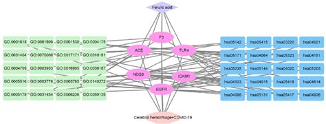 Integrated Overview Map In Bioinformatics Findings From Current Report