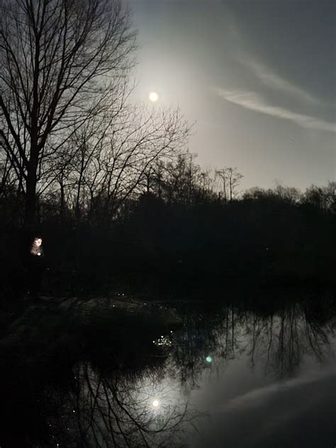 Michael Poulter Ghost Carp And Alpacas At Tri Lakes Dynamite Baits