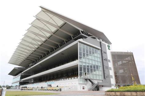 きょう8月31日の新潟、中京、札幌競馬は通常通りの開催が決定 小倉2歳sの前日発売は取りやめ 競馬ニュース Netkeiba