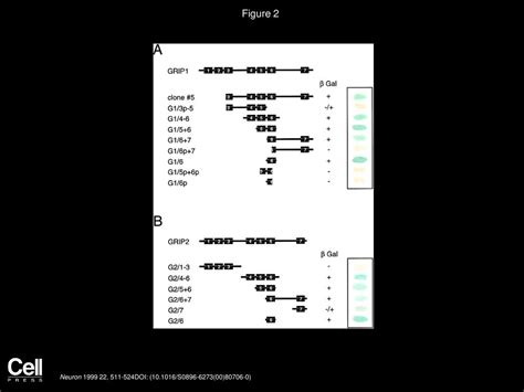 Volume 22 Issue 3 Pages March 1999 Ppt Download