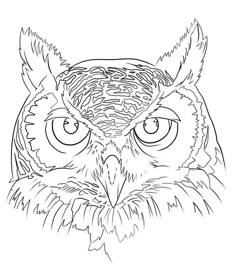 Pin On Stencil Owl Tattoo Design Owl Tattoo Drawings Barn Owl Tattoo