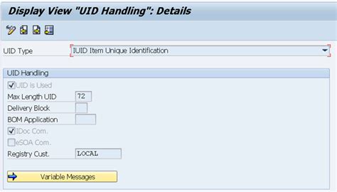 Managing Iuid Or Uii In Sap Ewm Sap Community
