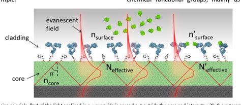 Figure 1 From Trends In Photonic Lab On Chip Interferometric Biosensors For Point Of Care