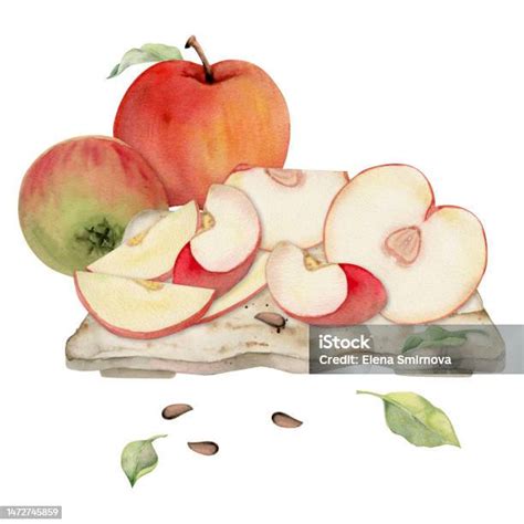세라믹 접시에 사과 과일로 손으로 그린 수채화 구성 전체 및 조각 잎과 씨앗 흰색 배경에 격리 벽 예술 결혼식 인쇄 직물 표지