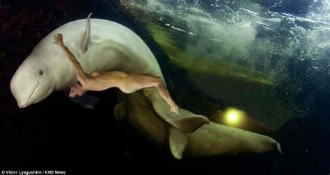 Russian Diver Natalia Avseenko Stripped Naked To Swim With Two Belungas