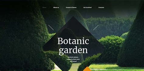 Header là gì Vai trò và yếu tố cần có của một header website