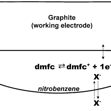 Schematic Representation Of The Three Phase Electrode Consisting Of A Download Scientific