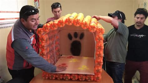 Construye una casa para perros con botellas de plástico POLISANTAFE