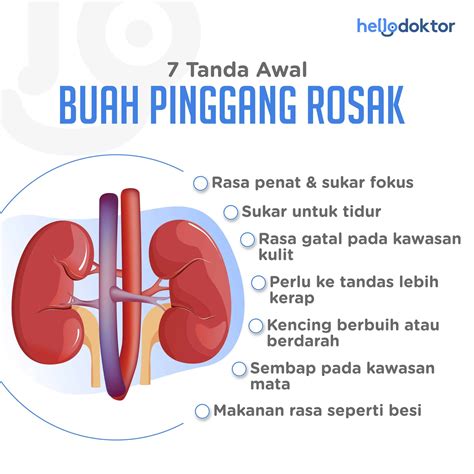 Tanda Tanda Sakit Buah Pinggang Dari Tahap 1 Hingga Tahap 4