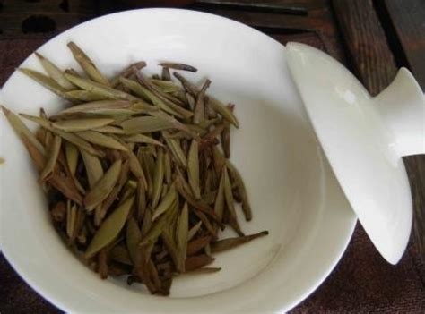 福鼎白茶和安吉白茶的區別有哪些 每日頭條
