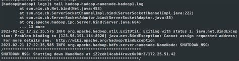 Hadoop Namenode Cant Running Stack Overflow