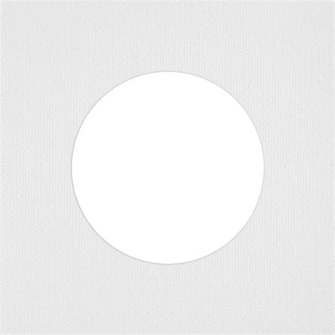 Round Stretch Canvas Gecko Art