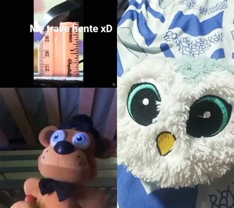 Mi Amigo Freddy Fasbear Y Yo Bien Trabados Jajajajajaja Xd Fnaf Memes