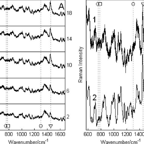 A The Growth Curve Shows The Phases Of Yeast Cell Population B The