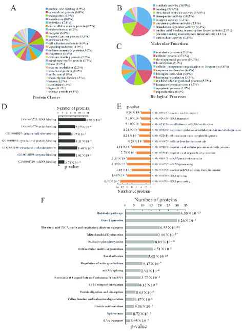 The Functional Annotation Of Dysregulated Proteins Was Analyzed By